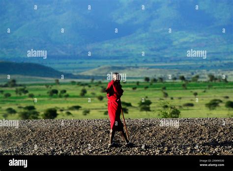 Maasaii Man Hi Res Stock Photography And Images Alamy