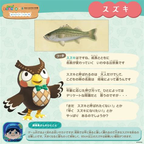「あつまれ どうぶつの森」コラボイベント，仙台うみの杜水族館で7月13日から開催。ゲームに出てくる“海の幸”の実食体験などを実施