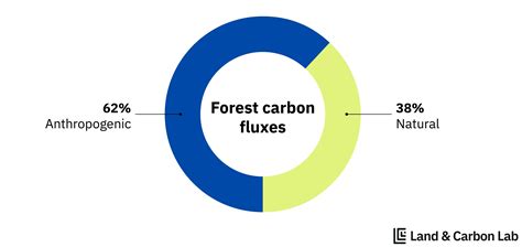 How Land And Carbon Lab Is Monitoring Lands Greenhouse Gas Impacts