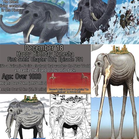 Happy Birthday Zunesha🐘 And Byron 🎶 December 18th R Onepiece