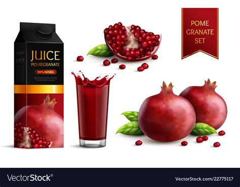Pomegranate Realistic Set Royalty Free Vector Image