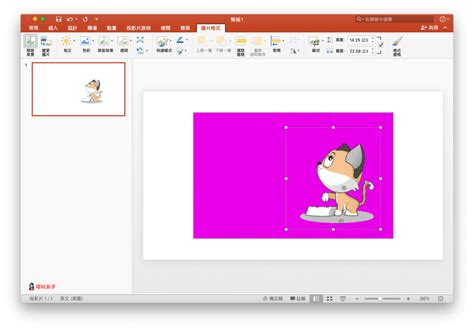 Ppt 去背怎麼用？教你用 Powerpoint 內建功能為圖片去背 塔科女子