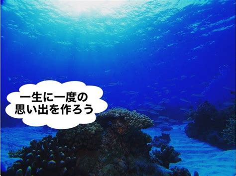春のスプリングセール実施中♪♪【恩納村青の洞窟】ボートで行く青の洞窟funダイビング♪乗船料込・写真撮影付 女性・カップルにおススメ