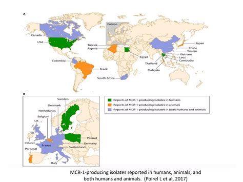 Best Practice For Colistin Susceptibility Testing Methods And Evidence