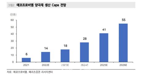 에코프로비엠 양극재 가격 상승 랠리 유효목표가↑ 메리츠