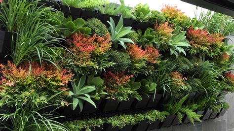 The Best Plants For Your Garden At Mazie Goins Blog