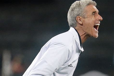Comentarista atribui fase do Botafogo a Luis Castro Vitória contra o