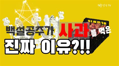 맛있는 사과 고르는 법을 아는 여인도 울고 간 꿀사과 Youtube