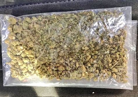 Presuntos Comerciantes De La Zona Piel Son Detenidos Con Droga