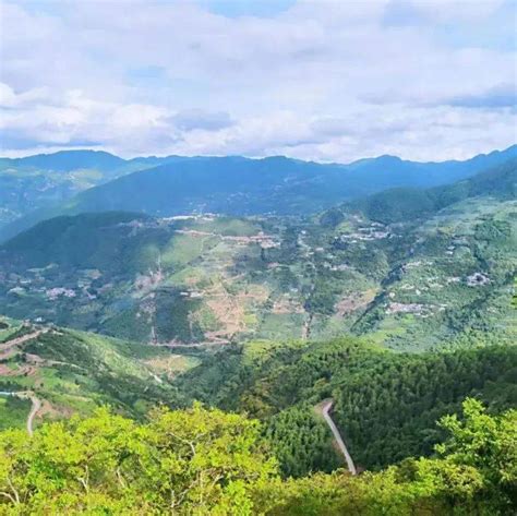 打好三张牌 乡村振兴谱新篇 梅红村 农户 活动