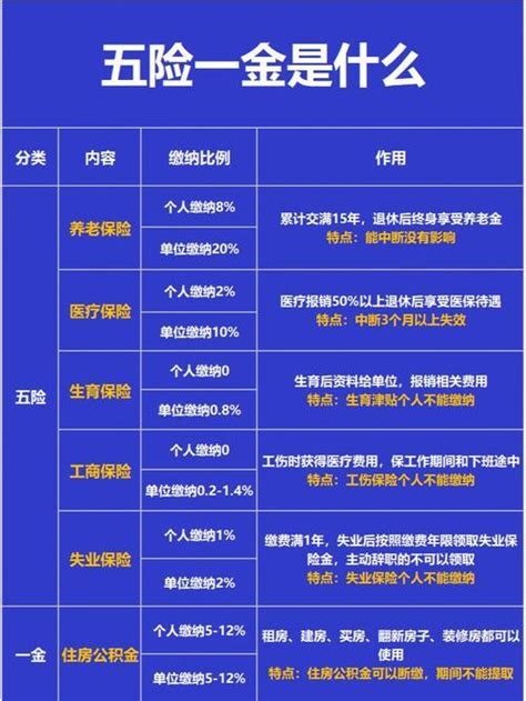 什么是五险一金 普普保