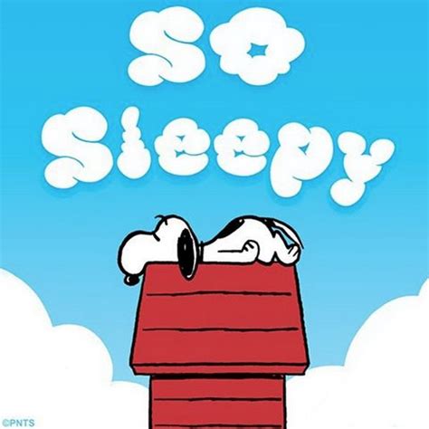 132 Best Images About Monday On Pinterest Peanuts Snoopy Mondays And
