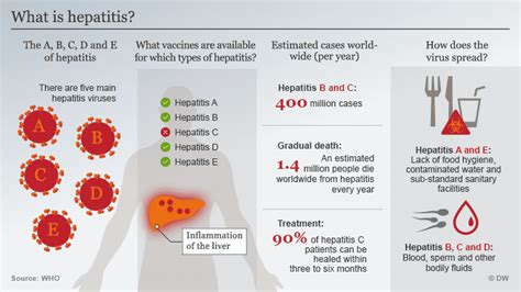Hepatitis Causes Symptoms And Treatment Options Philadelphia