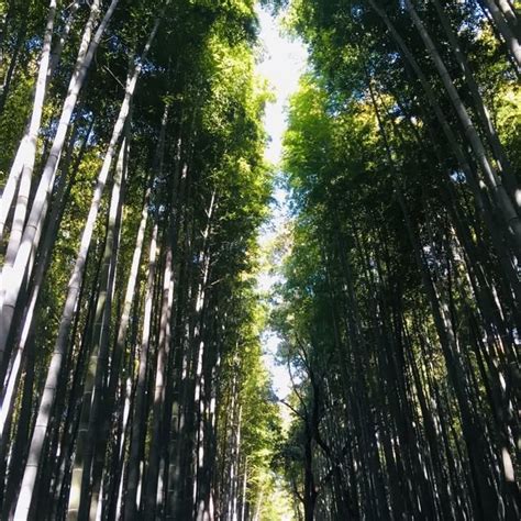 わたなべひなた hinata Threads Say more