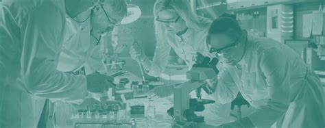 Drug Discovery Cro Services Reaction Biology