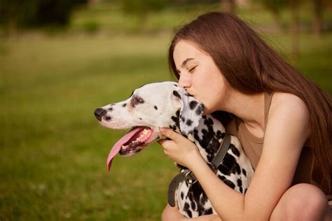 Chica Besando Al Perro Dálmata En El Parque Amor Por El Perro Y Los