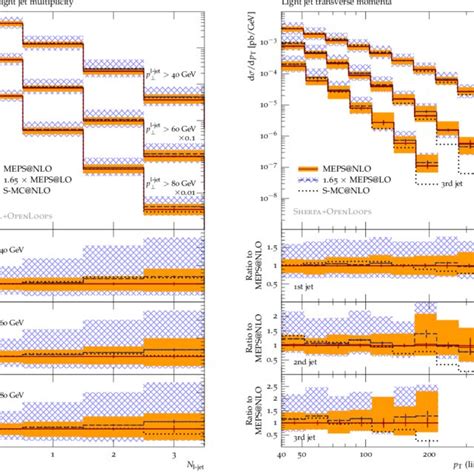 Light Flavour Jet Multiplicity Distribution Including C But Not