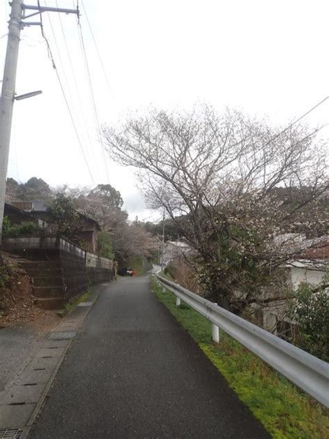 親孝行は今のうちに 下野 安彦の日記