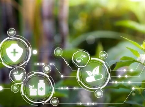 Sustainability in Clinical Care – How is Anaesthesia Care Making a Leap ...