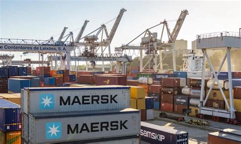 Simulation Modeling Resources Mosimtec