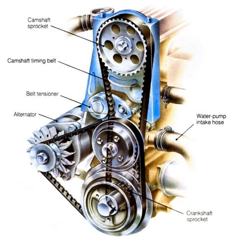 What Are Timing Components At Tia Curtis Blog