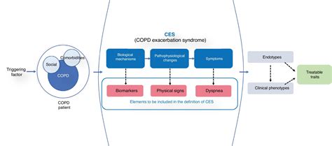 Exacerbation Syndrome In Copd A Paradigm Shift Archivos De Bronconeumología