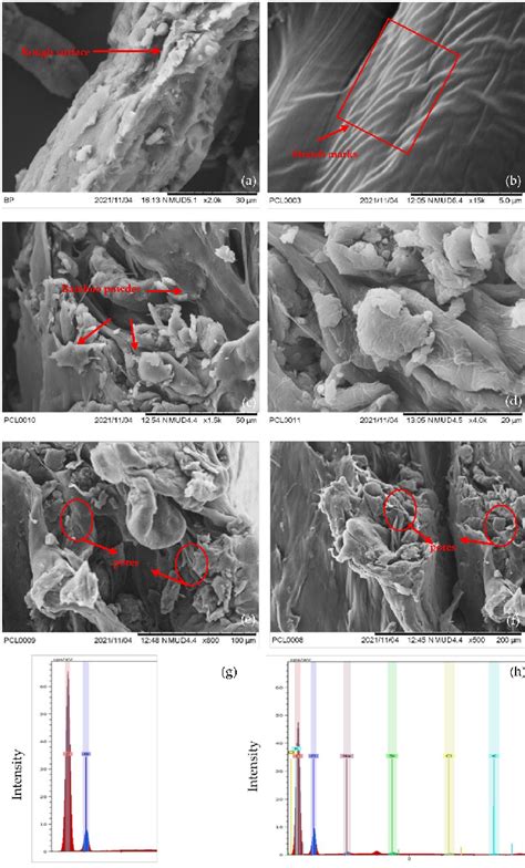 Figure 2 From Development Of Biodegradable Composites Using Polycaprolactone And Bamboo Powder