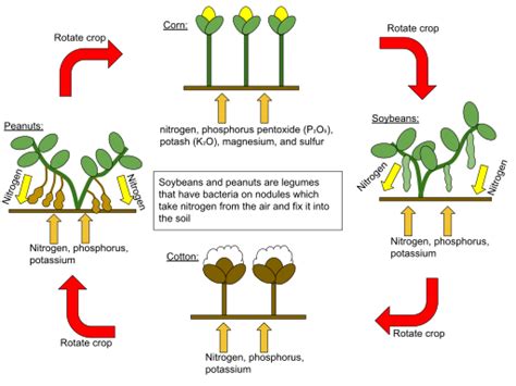 Pros And Cons Of Crop Rotation In Agriculture What Is Green Living