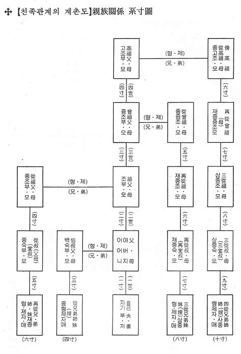 친족 관계 계촌도 촌수 사촌 친척 호칭 가계도