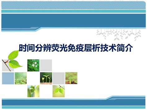 时间分辨荧光免疫层析技术简介word文档在线阅读与下载免费文档
