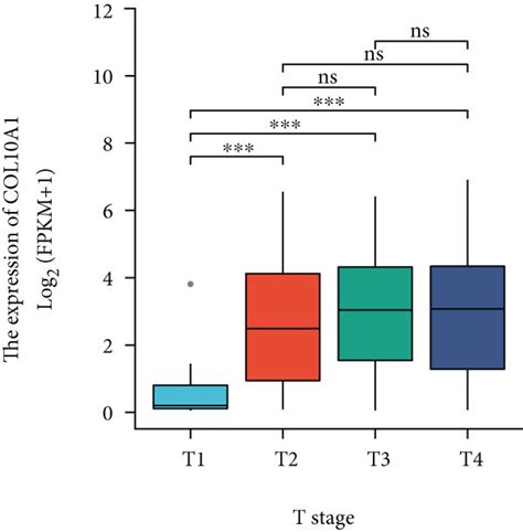 Relationship Between Clinicopathological Characteristics And Col10a1
