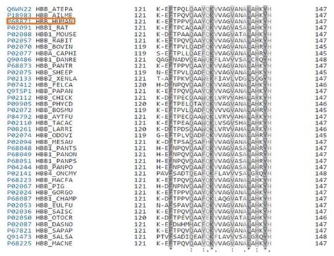Sequence Alignments Of Beta Globin Gene Across Different Species Using Download Scientific