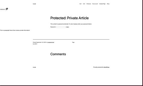 Password Protection Not Respected On Single Product Template · Issue