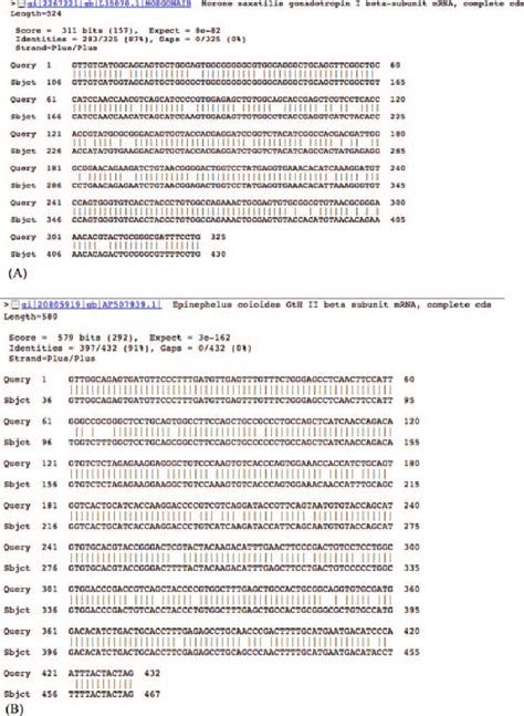 A The Highest Degree Of Similarity For Alignment And Analogy Of The Download Scientific