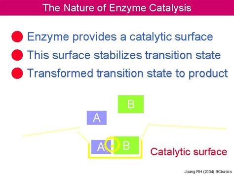 Stickase Substrate Transition State X Product If Enzyme