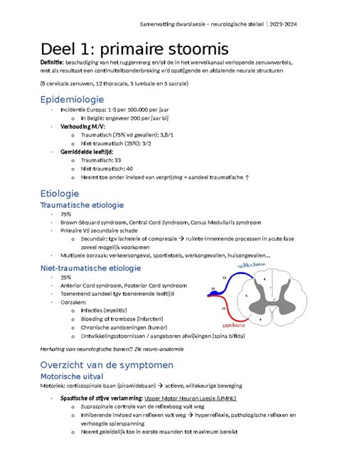 H3 Dwarslaesie Samenvatting Revalidatie En Kinesitherapie Van Het