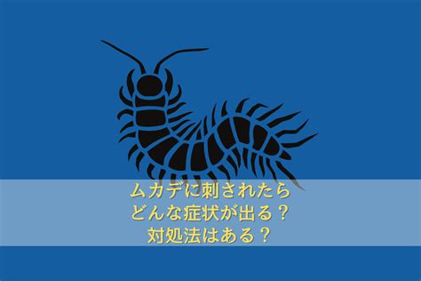 ムカデに刺されたらどんな症状が出る？対処法はある？ ｜ 神奈川県の駆除専門業者クリーン計画プロープル