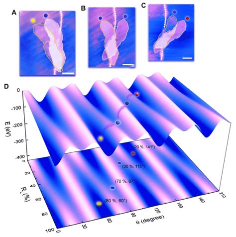 Tunable Configurations Of The Graphene Nanostructure On Graphene With