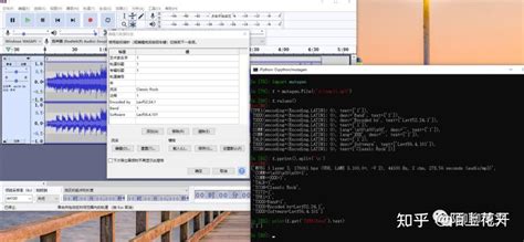 Python3使用mutagen进行音频元数据处理的方法 知乎