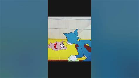 Cat And Mouse Billy Choha Youtube