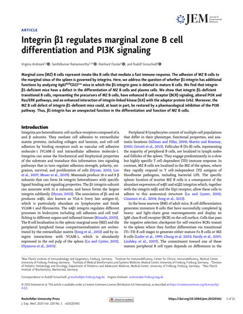 Pdf Integrin β1 Regulates Marginal Zone B Cell Differentiation And