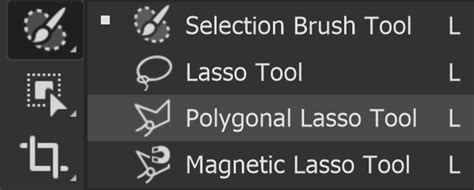 Photoshop Polygonal Lasso Tutorial