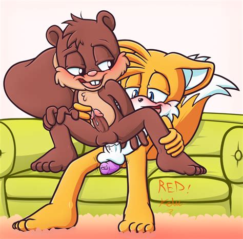 Post 3228265 Animaniacs Crossover Redkelv Skippy Squirrel Sonic The