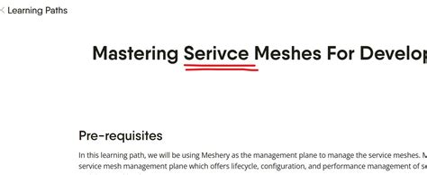 Learn Fix Minor Spelling Errors · Issue 2292 · Layer5iolayer5 · Github