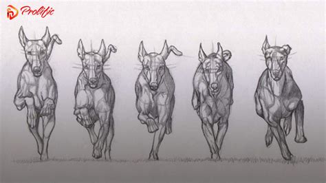 What Is Tweening In Animation The Complete Guide In 2025