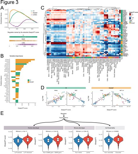 Identification And Characterization Of Key Predictors In The