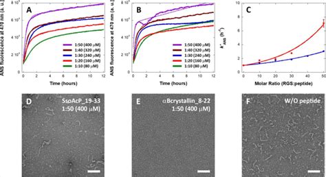 Two Selected Peptides Inhibit Rgs L106r Aggregation Shown Are Ans Time