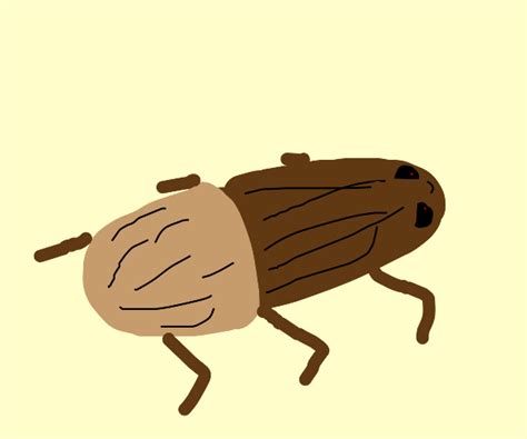 Cockroach Drawception