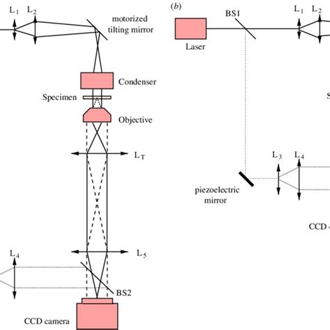 Experimental Setup Of The Transmission Diffractive Tomographic Download Scientific Diagram