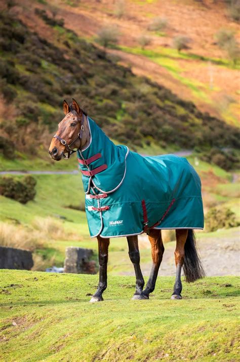 Buy The Shires Tempest Original 200g Turnout Rug And Neck Set Online